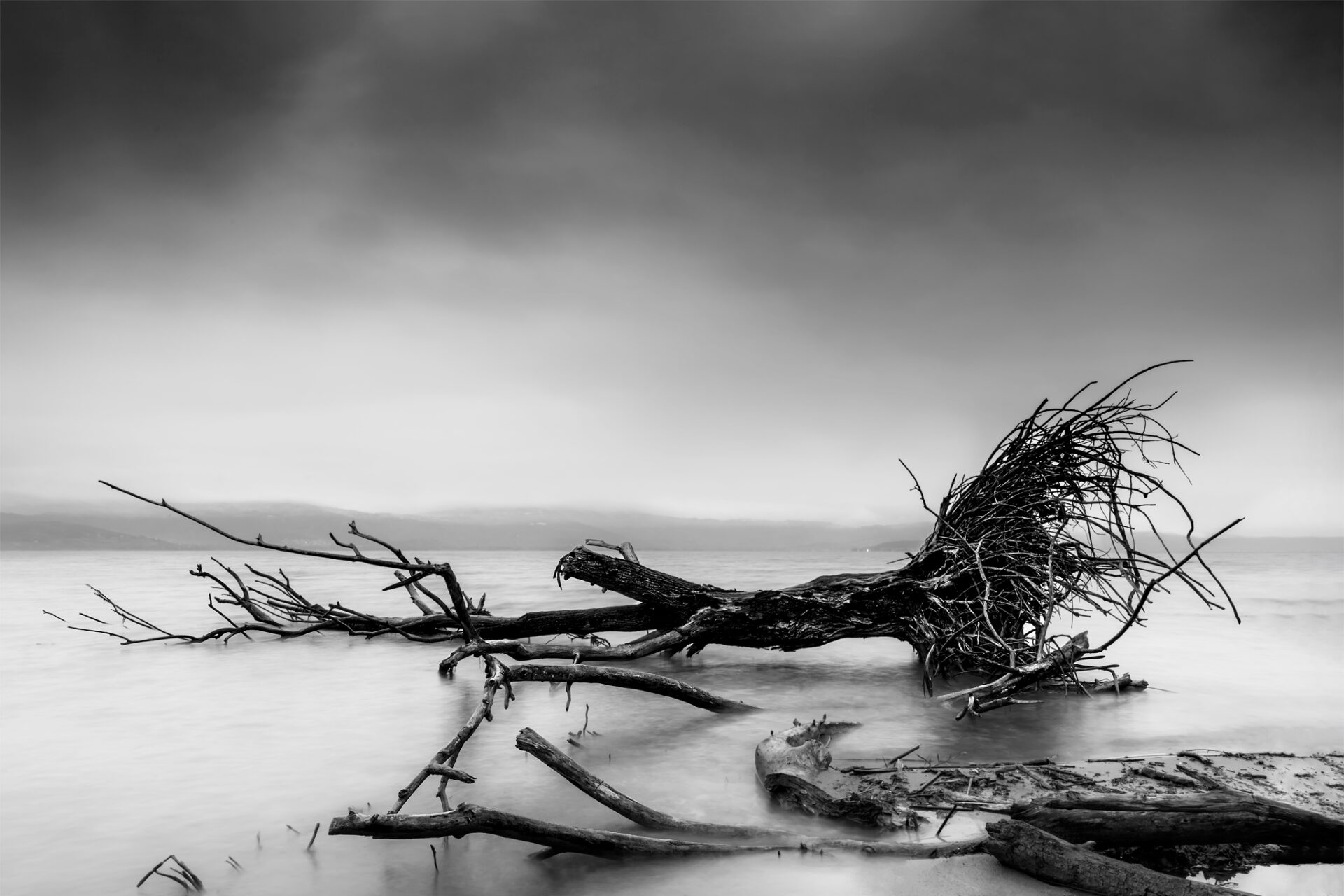 Federico Calvani Photographer